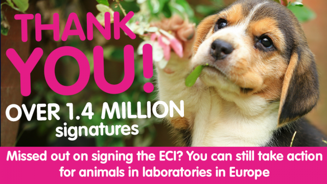 1.4 million people support record-breaking second ECI for animals in ... 1.4 million people support record-breaking second ECI for animals in ...